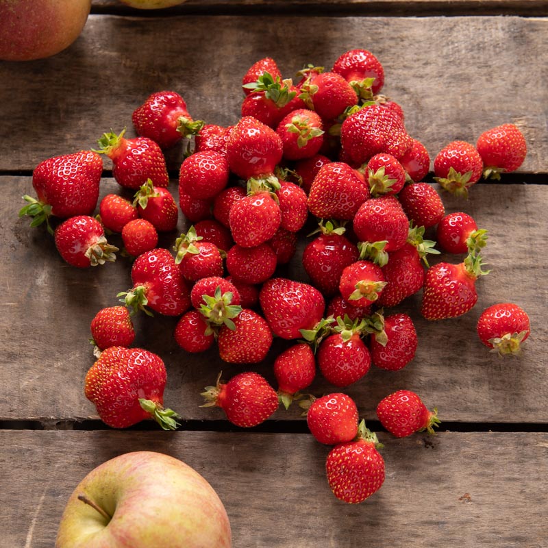 Fraises Rubis des jardins | Les Vergers du Val d'Oise | Mon Panier du ...