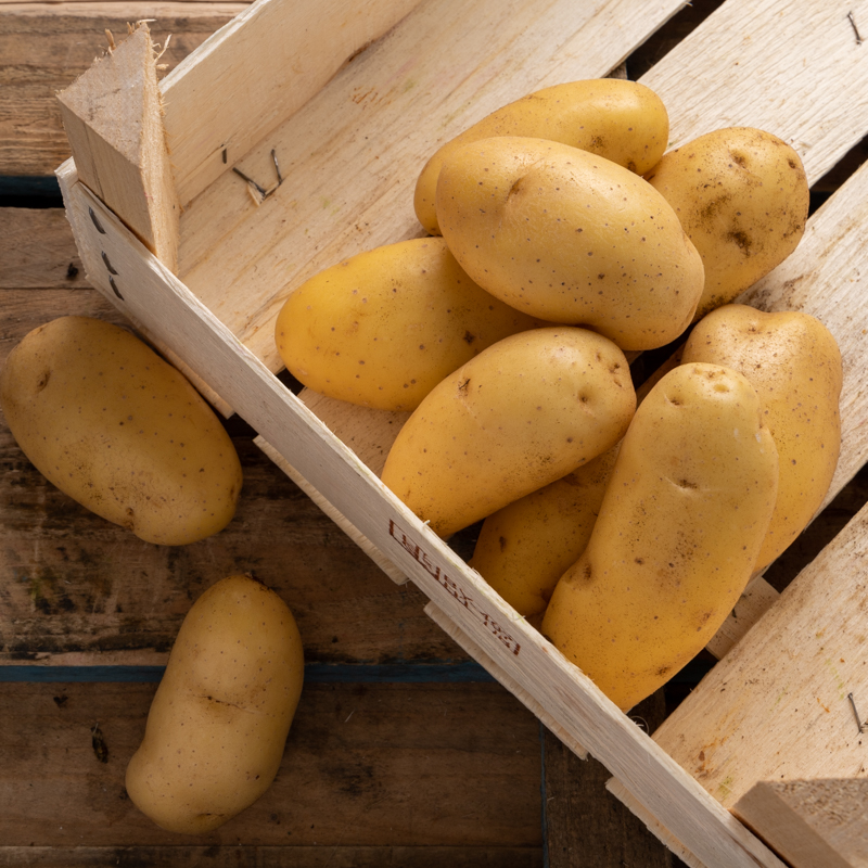 Pommes de terre Charlotte | Yess Primeur | Mon Panier du Marché