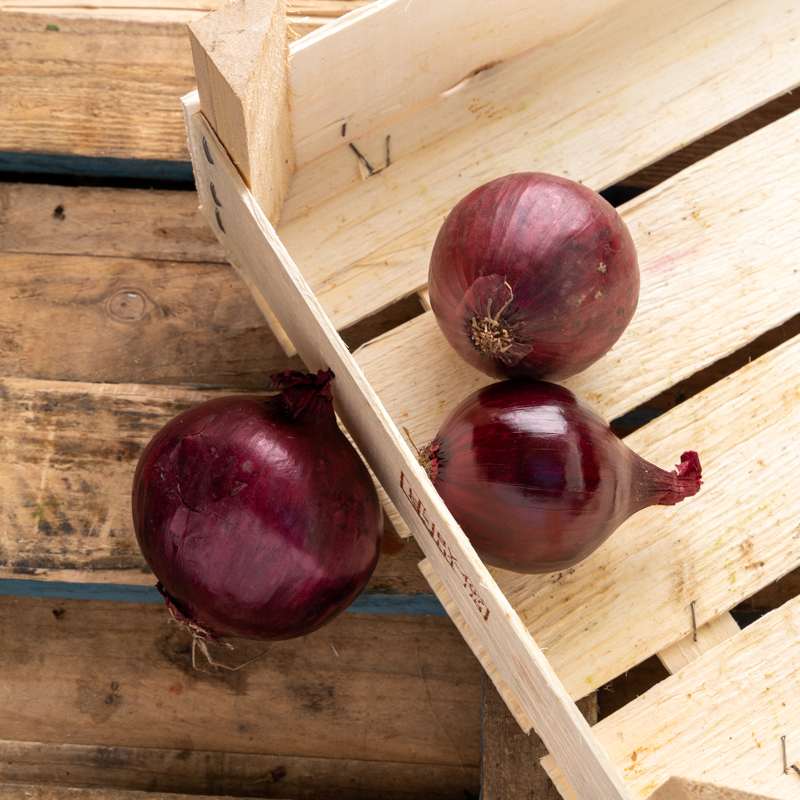 Oignons rouges | Yess Primeur | Mon Panier du Marché