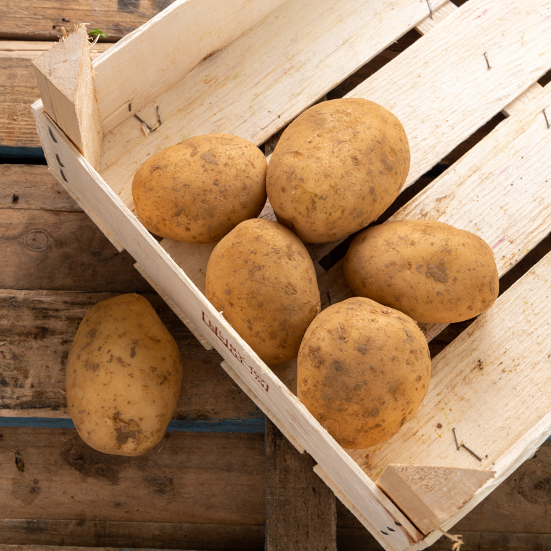 Pommes de terre Mona Lisa | Yess Primeur | Mon Panier du Marché