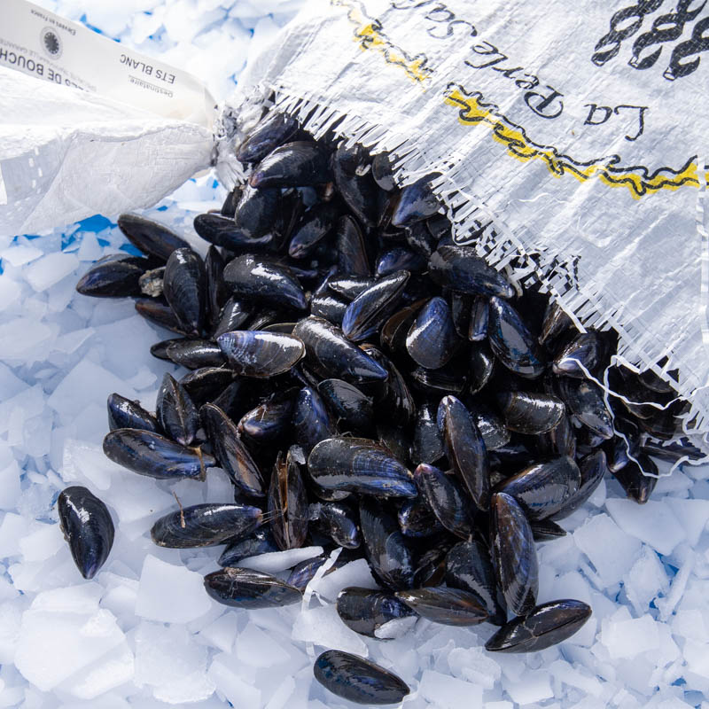 Moules de Bouchot | Poissonnerie Antonio Paias | Mon Panier du Marché
